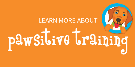 Certified Positive Dog Training & Education in Wilmington, NC ...